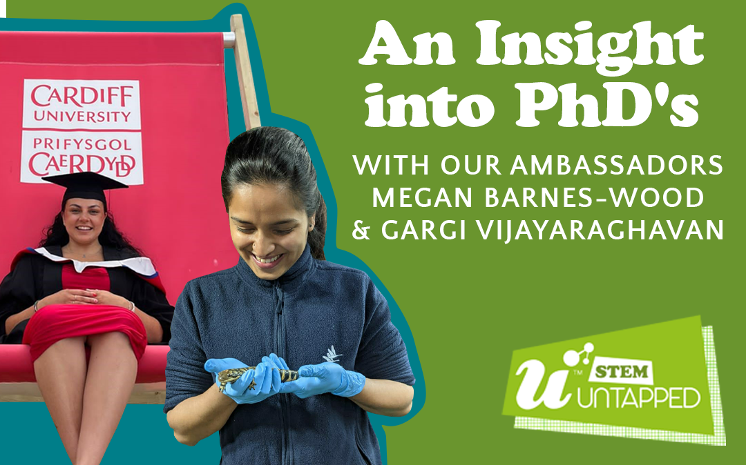 An Honest Conversation with Women Doing PhD's - STEM Untapped